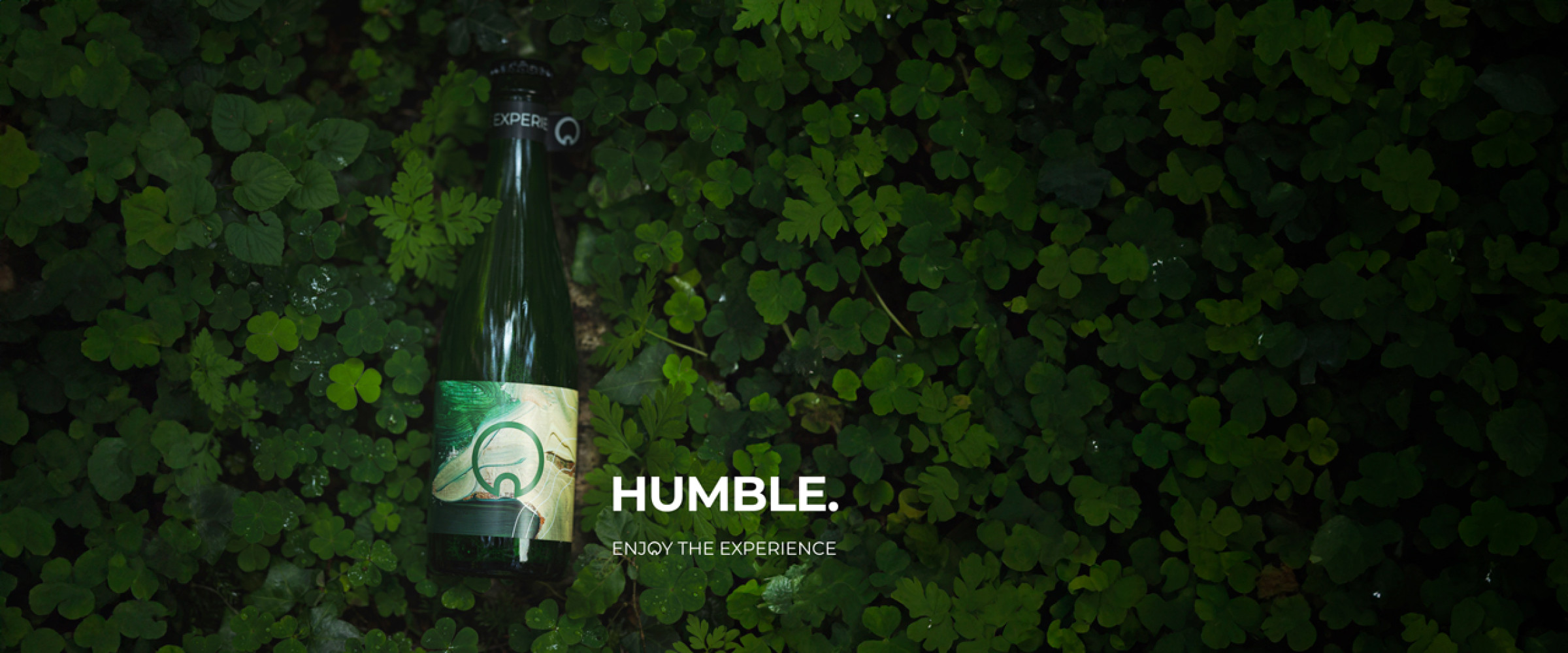 Blog: Modest Beers Unassuming excellence - Humble Wild Lager v1